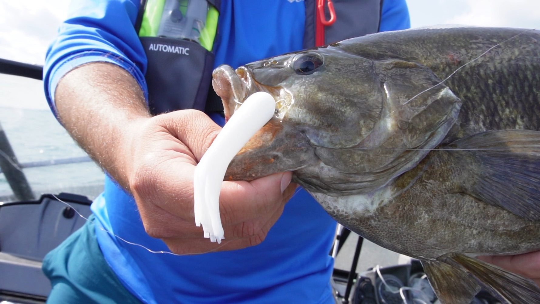Tubes & Grubs – Limestone Lures